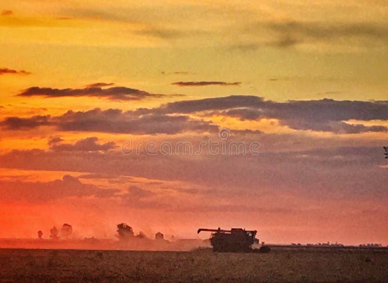 Sunset at Jimbour Australia Stock Photo - Image of farming, jimbour ...