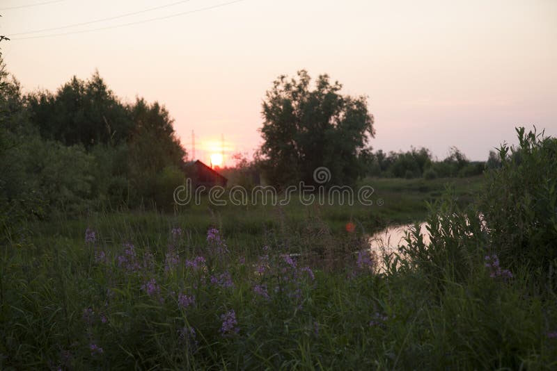 Sunset in July stock image. Image of evening, green - 122087895