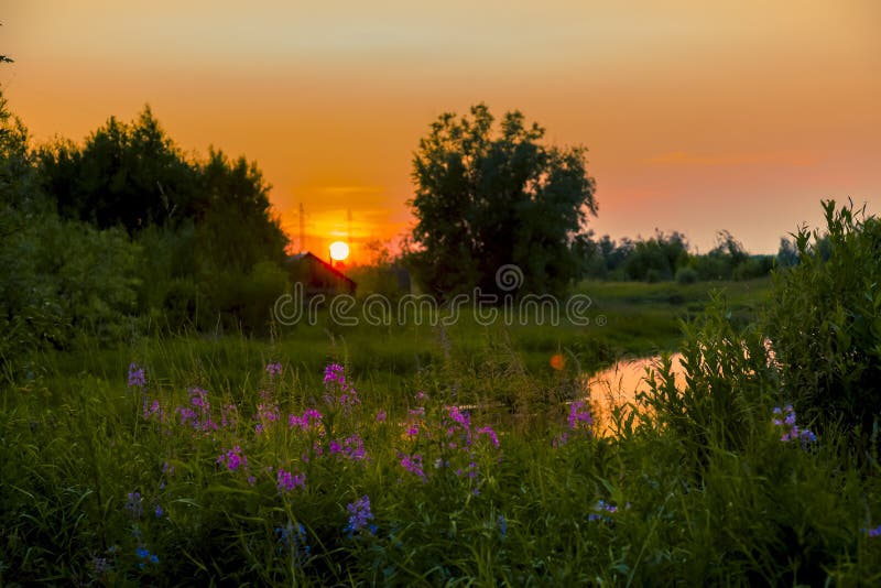 Sunset in July stock photo. Image of nature, gray, july - 122087906