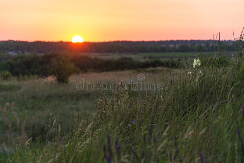 Sunset July sun stock photo. Image of field, adventure - 97161472