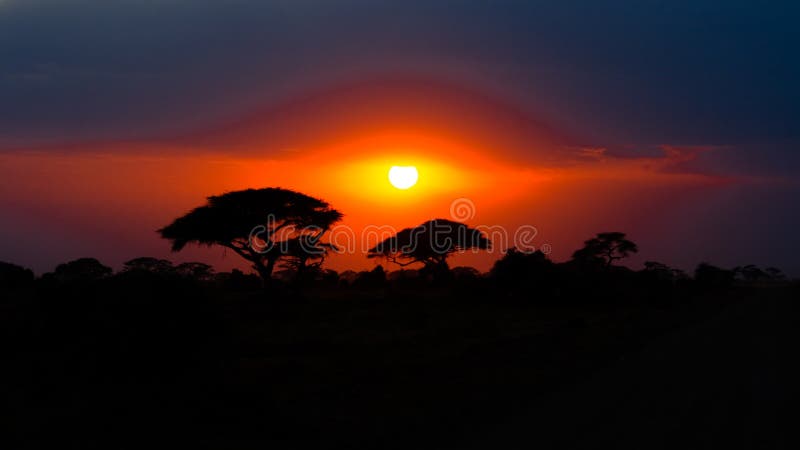 Sunset in Kenya stock image. Image of african, scenery - 11454649