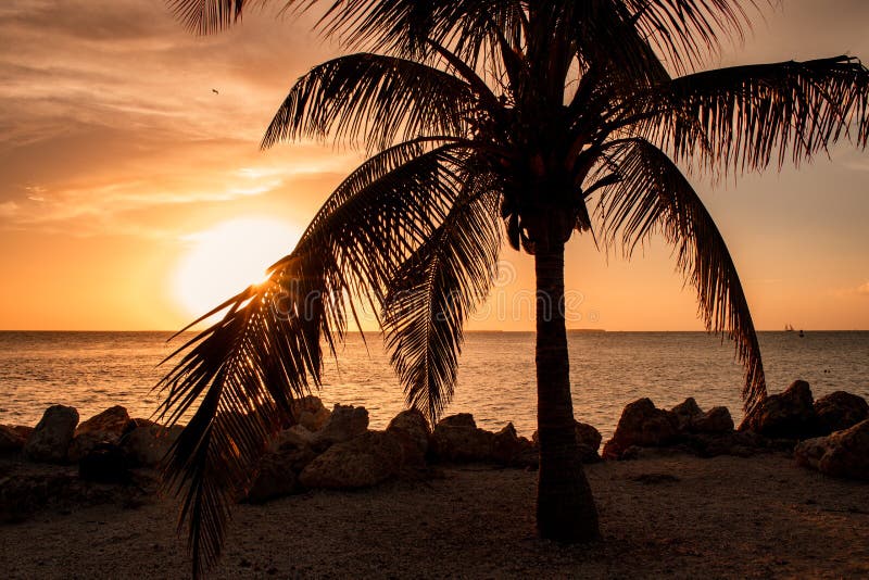 Sunset in Key West stock image. Image of dusk, keys - 133307459