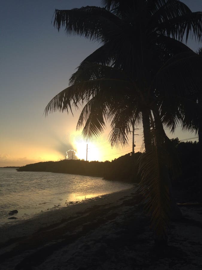 Sunset in the Keys stock image. Image of back, sillhouette - 82902781