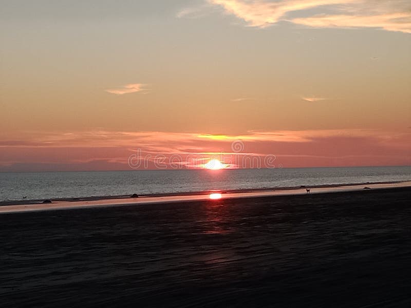 Goa beach snap stock photo. Image of snap, sand, shell - 176393680