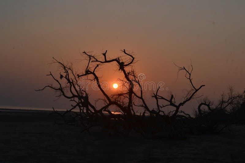 Sunset in Kuakata seeshore stock image. Image of cloud - 245687657