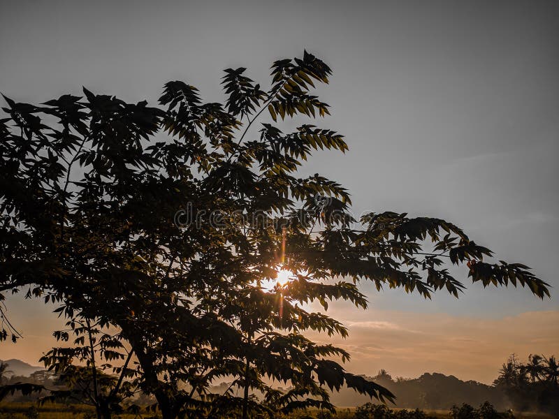 Sunset Kuningan Java stock photo. Image of sunset, dawn - 232002998