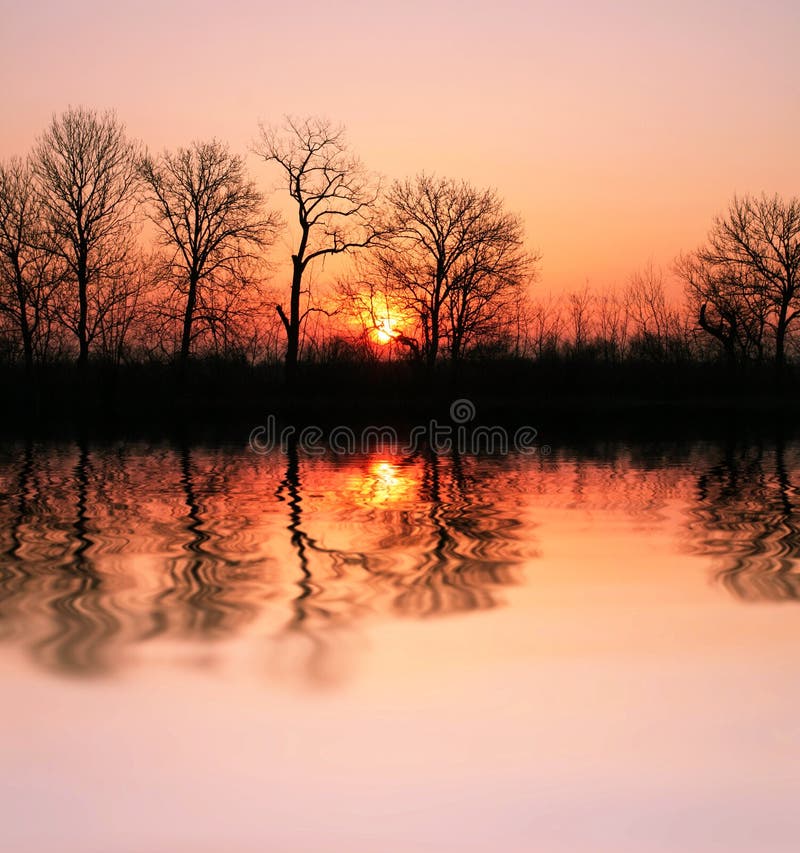 Sunset on the lake stock image. Image of shore, trees - 4810297
