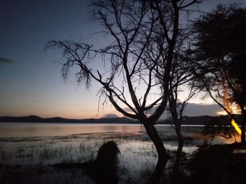 Sunset on lake Babati stock image. Image of branch, dusk - 247310871