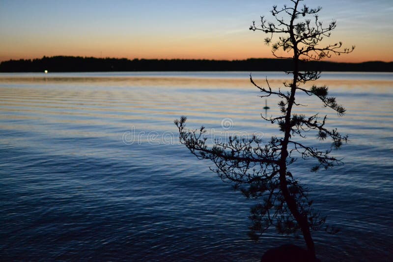 Sunset on a lake stock image. Image of water, trees, scene - 58223321