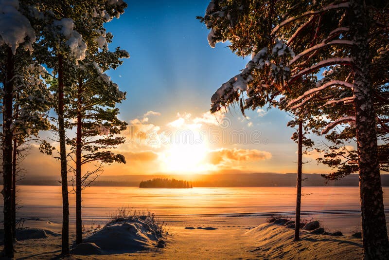 Sunset with a Lake and Pine Trees in the Foreground Stock Photo - Image ...