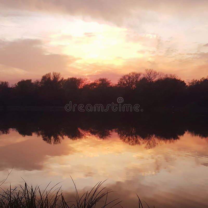 Sunset, Lake Sunset, Pink Sky, Evening Sky, Forest, Autumn Forest Stock ...