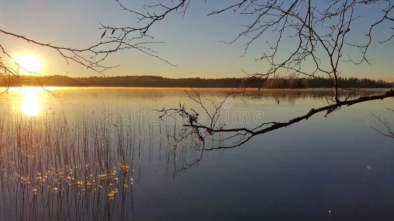 Sunset on a Lake with Plants and Trees Stock Image - Image of sunset ...