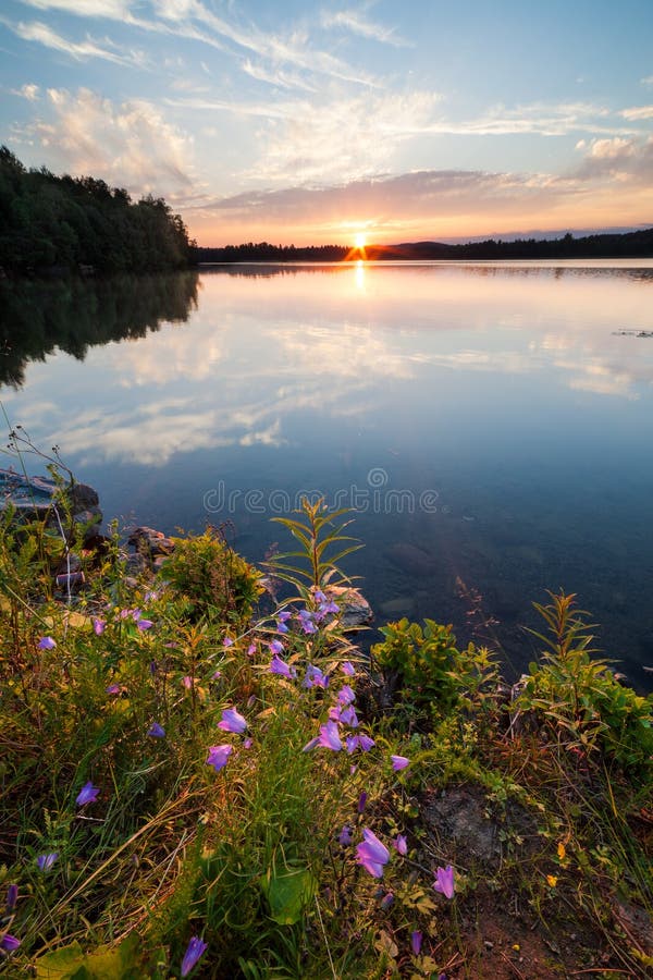 Sunset at lakeside stock photo. Image of flowers, serenity - 121942478