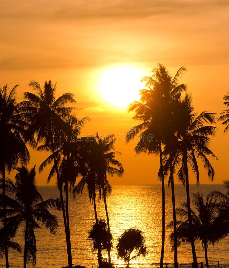 Sunset Landscape stock photo. Image of sunlight, resort - 47695676