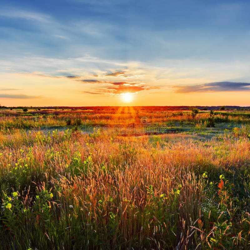 Sunset landscape stock photo. Image of light, environment - 59487912