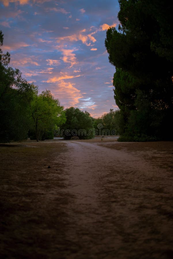 Sunset Landscape in a Forest Path Stock Image - Image of path, season ...