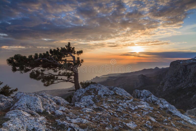 Sunset Landscape on a High Mountain Overlooking the Sea Stock Photo ...