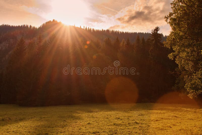 Sunset Landscape with Lens Flare Stock Image - Image of blur, grass ...