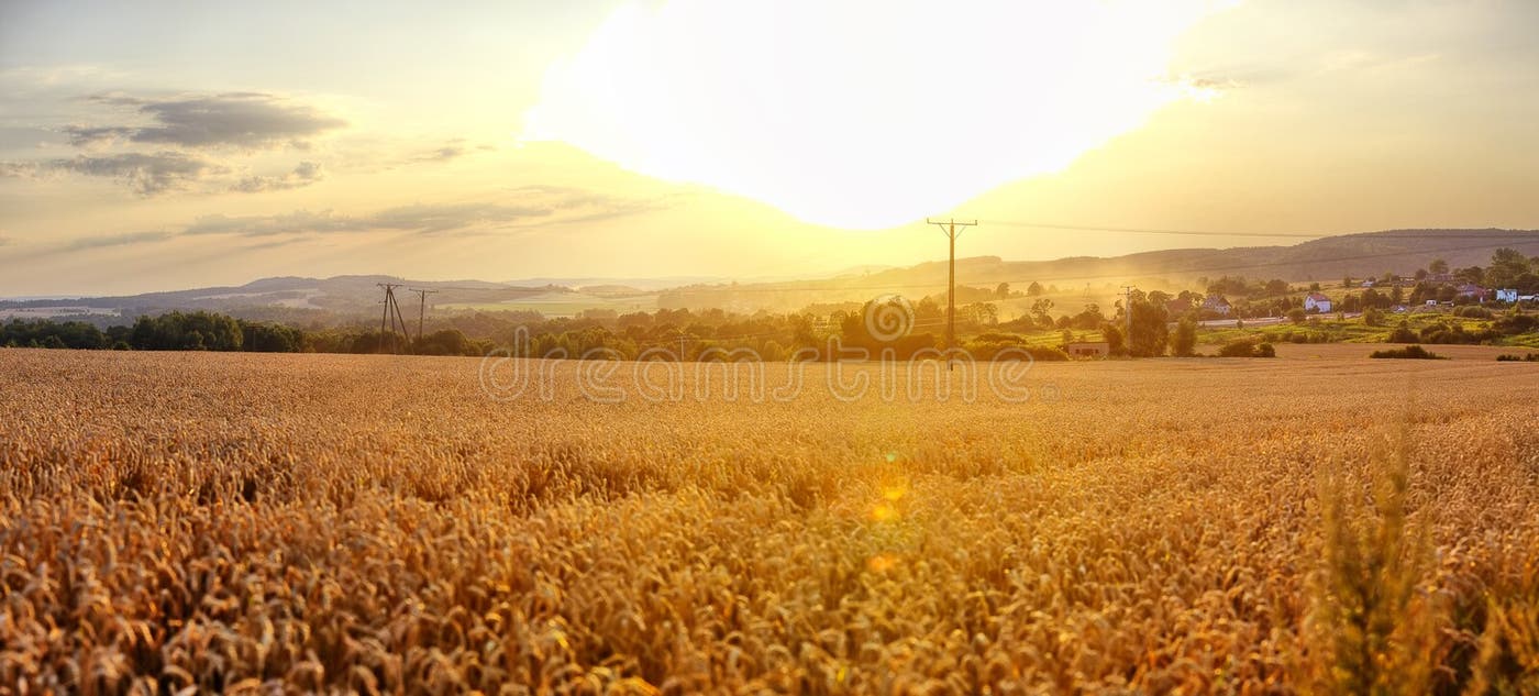 736 Yellow Sunset Hdri Stock Photos - Free & Royalty-Free Stock Photos ...