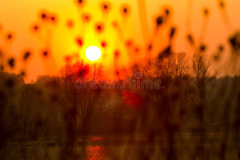 Sunset Landscape with Sun Over Dry Grass Stock Image - Image of color ...