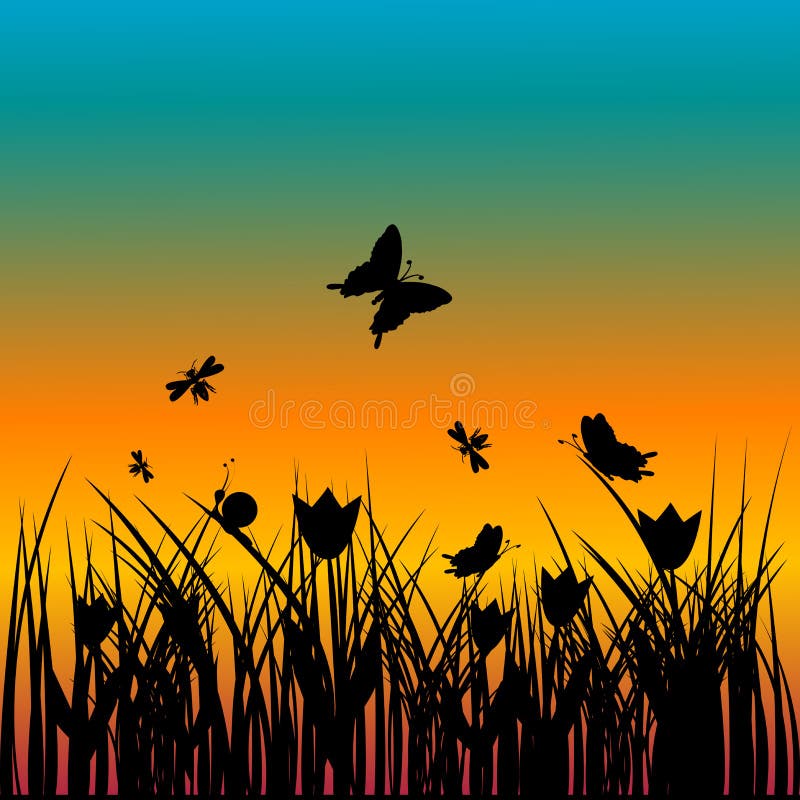 Sunset Landscape with Various Insects Stock Vector - Illustration of ...