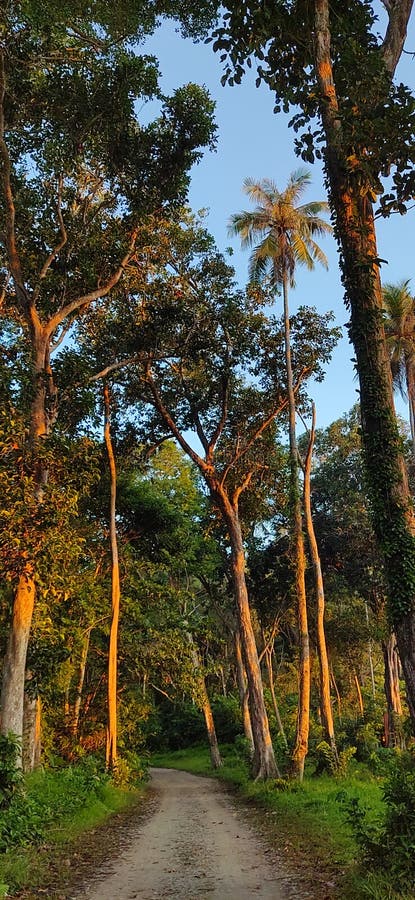 Lanun Island Stock Photos - Free & Royalty-Free Stock Photos from ...