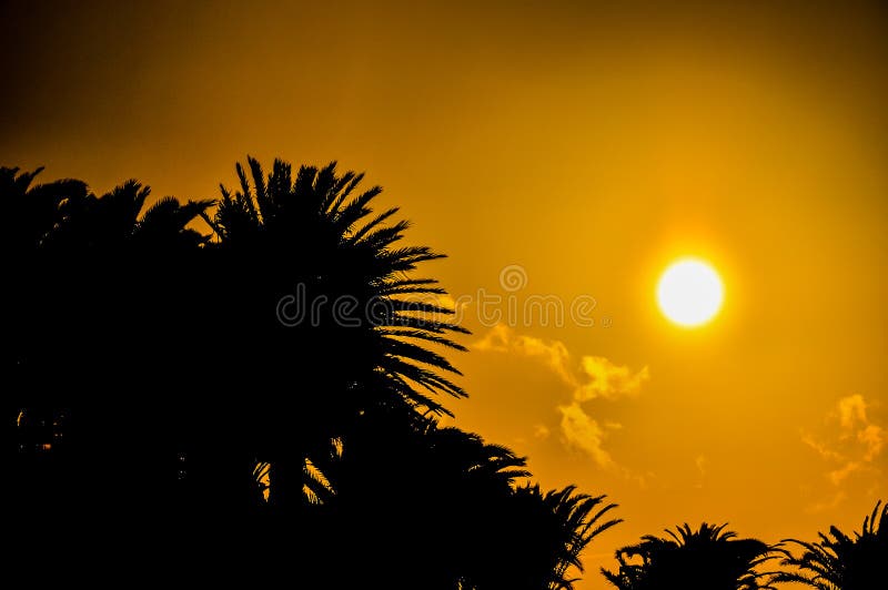 A Sunset with a Large Sun in the Sky Stock Image - Image of sunset ...