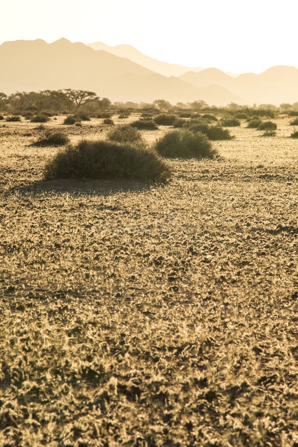 Late after noon light stock photo. Image of scenery, tranquility - 1130516