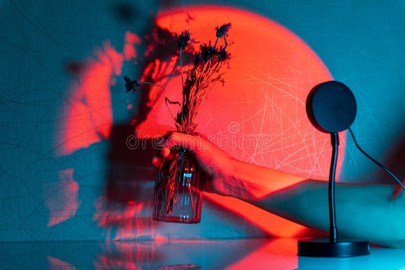 Sunset LED RGB Lighting Decor. Shadow on Surface Illuminated by ...