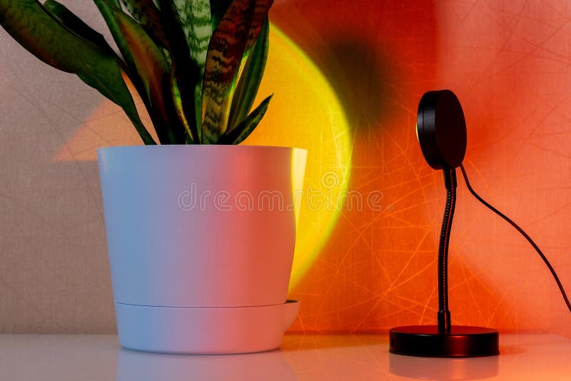 Sunset LED RGB Lighting Decor. Shadow on Surface Illuminated by ...