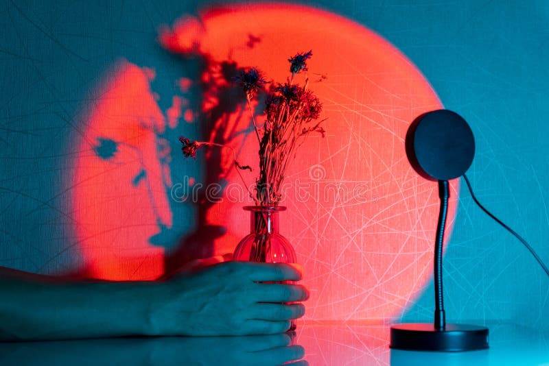 Sunset LED RGB Lighting Decor. Shadow on Surface Illuminated by ...