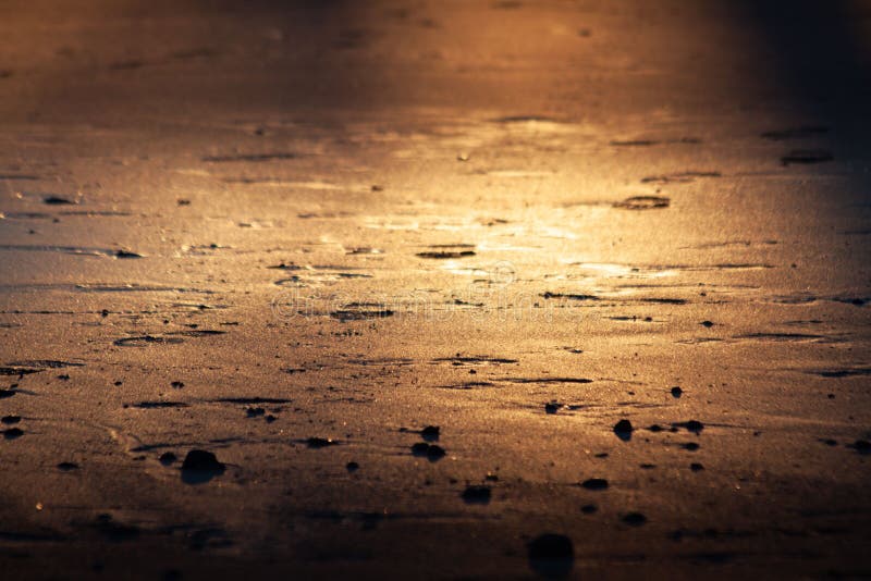 Sunset Light Illuminating the Beach Sand Stock Image - Image of sand ...