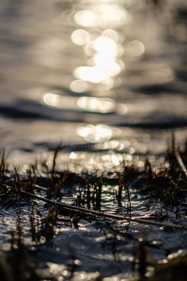 Sunset Light Reflection in the Beach Wet Sand and Water Stock Photo ...