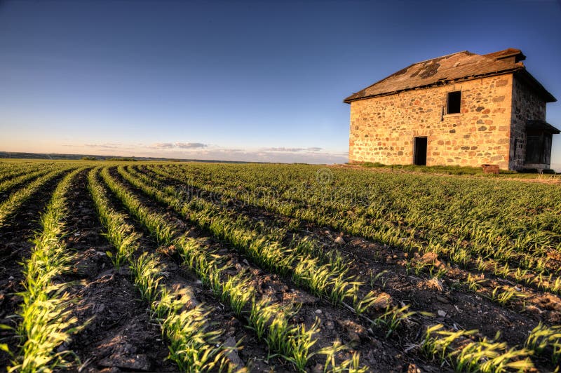 Saskatchewan Farm Canada stock photo. Image of storage - 2897988