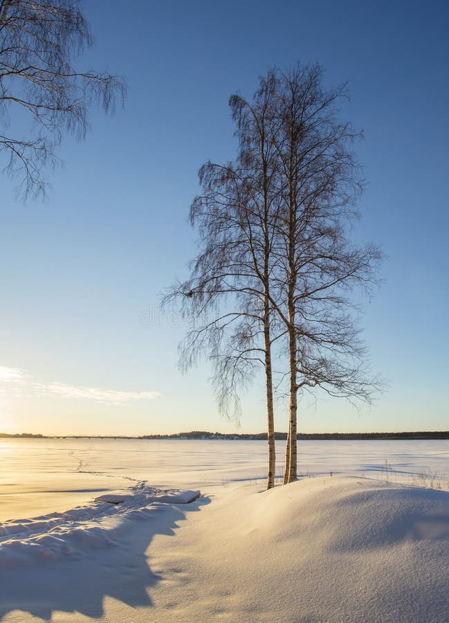 Sunset Lights Shadows Winter Landscape Alone Tree Stock Photos - Free ...