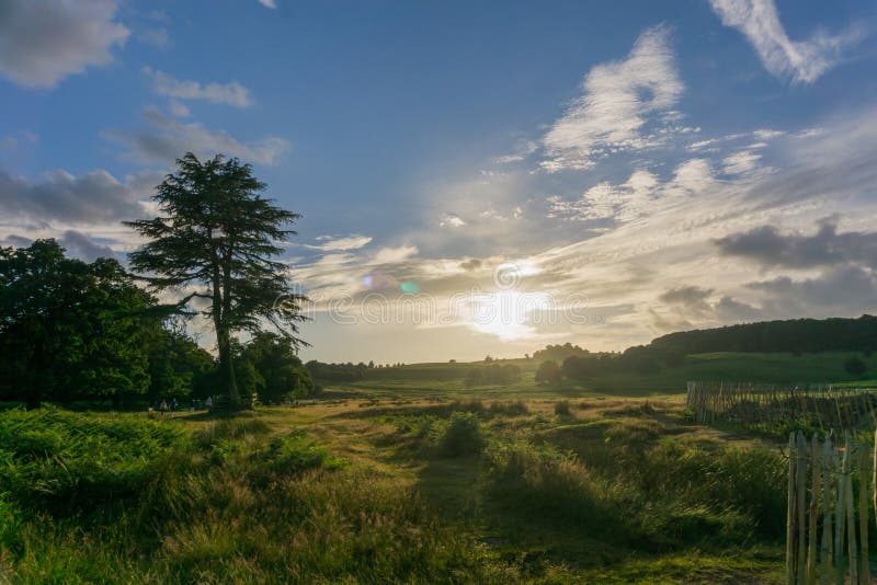 Sunset in a Local Park in a Rural Setting Stock Photo - Image of bush ...