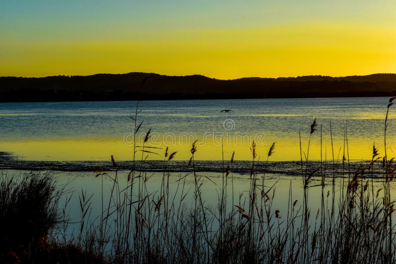 Flying Bird in the Distance Stock Photo - Image of long, mountains ...