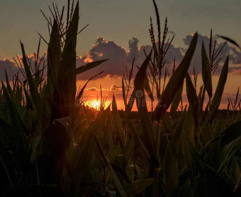 Celina Ohio Stock Photos - Free & Royalty-Free Stock Photos from Dreamstime