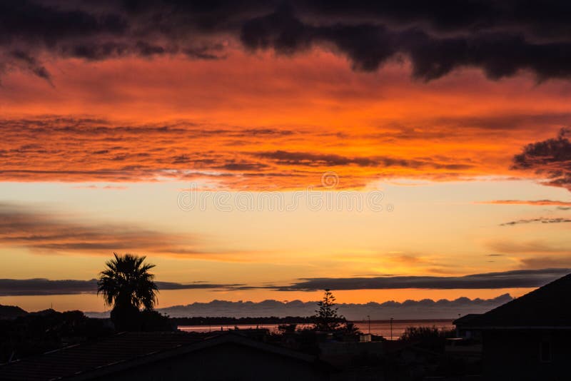 Sunset with Low Clouds and Tree in the Foreground Stock Image - Image ...