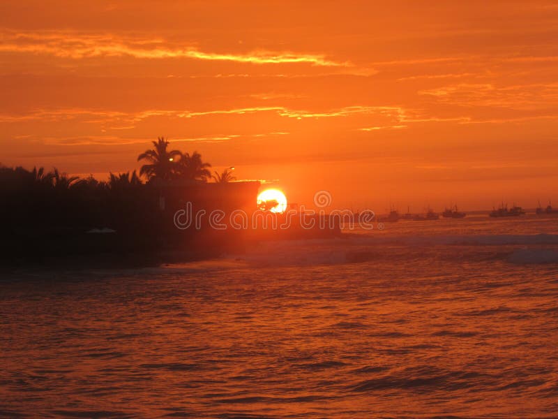 Macora Stock Photos - Free & Royalty-Free Stock Photos from Dreamstime