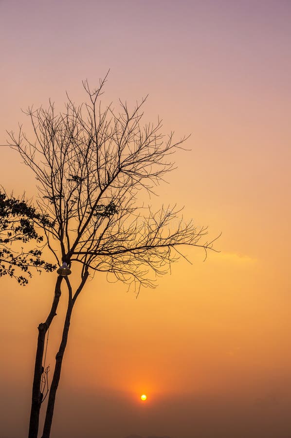 Sunset stock image. Image of orange, nature, landscape - 40084749