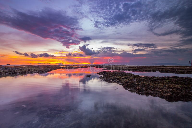 Sunset magic Alone tree stock image. Image of landscape - 139169913