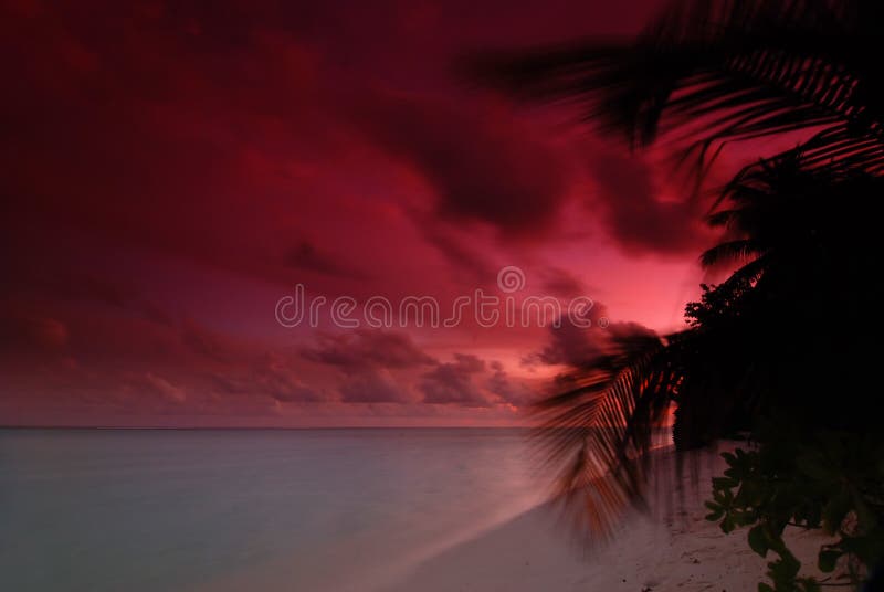 Sunset in the Maldives stock image. Image of palm, maldives - 10727433