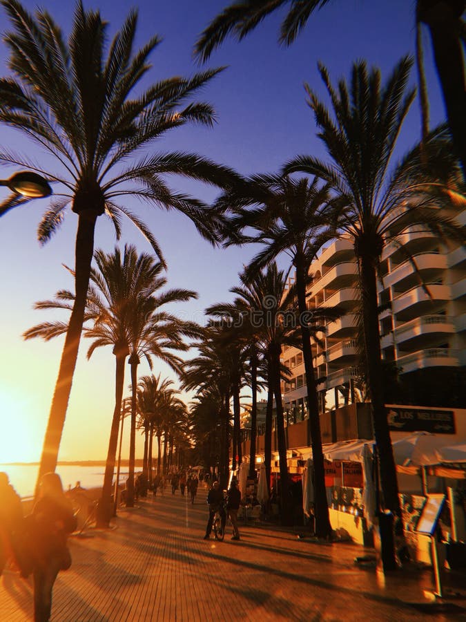Marbella editorial stock photo. Image of palms, marbella - 137663973