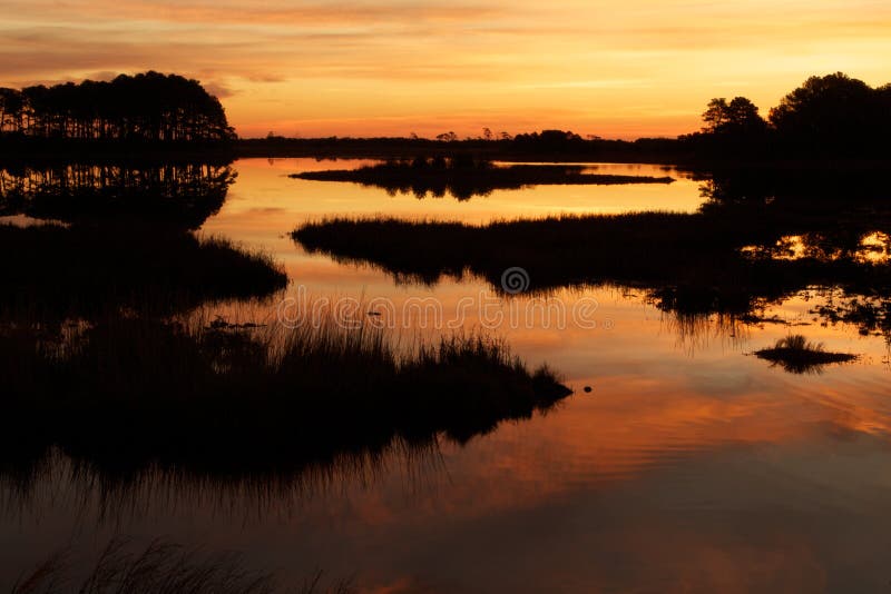 Sunset on the Marsh stock image. Image of trees, grass - 30030447