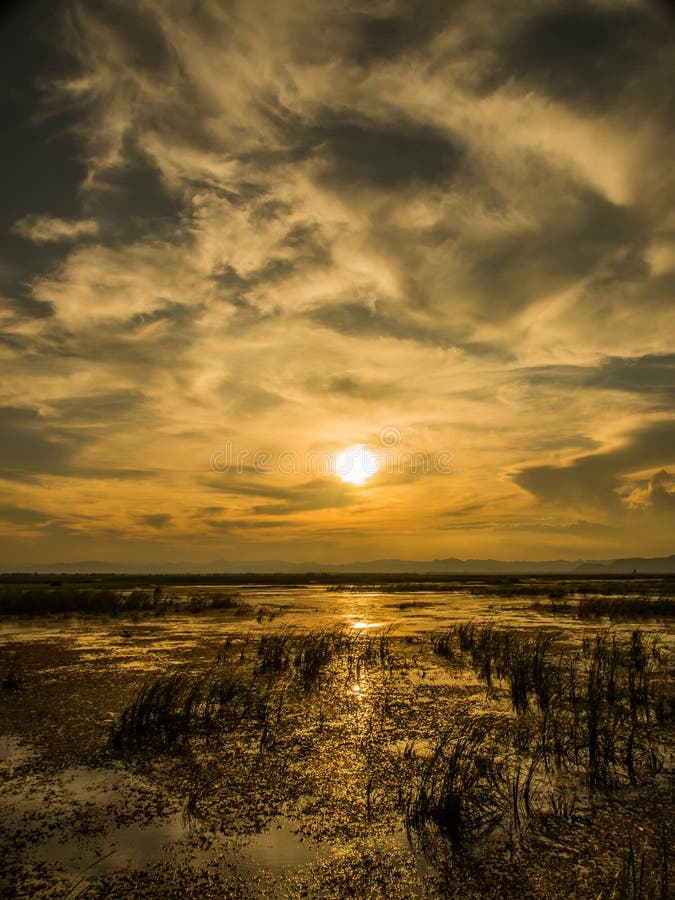 Sunset at the marsh stock photo. Image of north, cloud - 40862336
