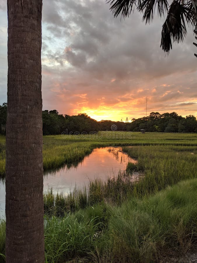 Sunset on the marsh stock photo. Image of path, tree - 157929742