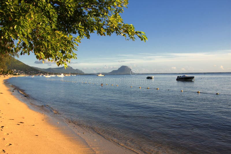 Mauritius Beach Huts stock photo. Image of palm, relax - 42328998