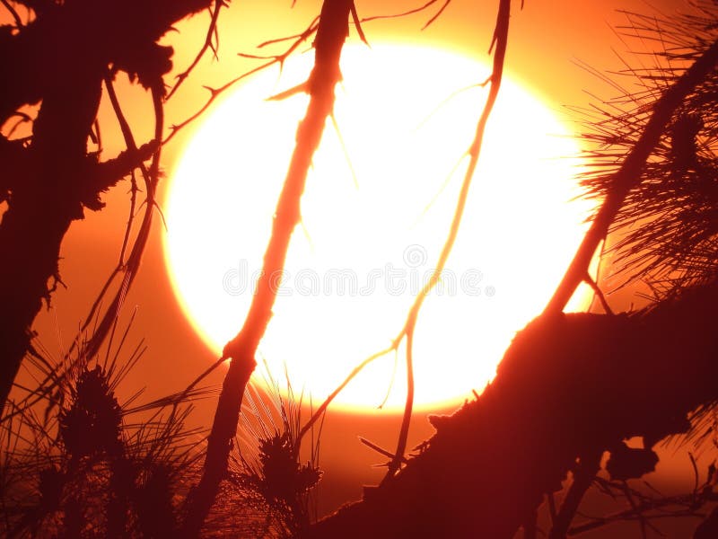 Sunset, Mdina, Malta. stock photo. Image of line, mdina - 276320952