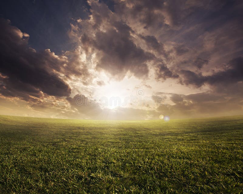 Sunset Over the Green Field Stock Image - Image of orange, meadow: 28594167